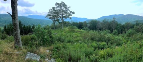 Merck Forest & Farmland Center - Explore the Best Recreation of Rupert ...