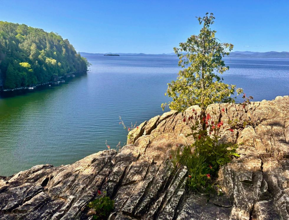 Rock Point Cabins - Vermont Huts & Trails